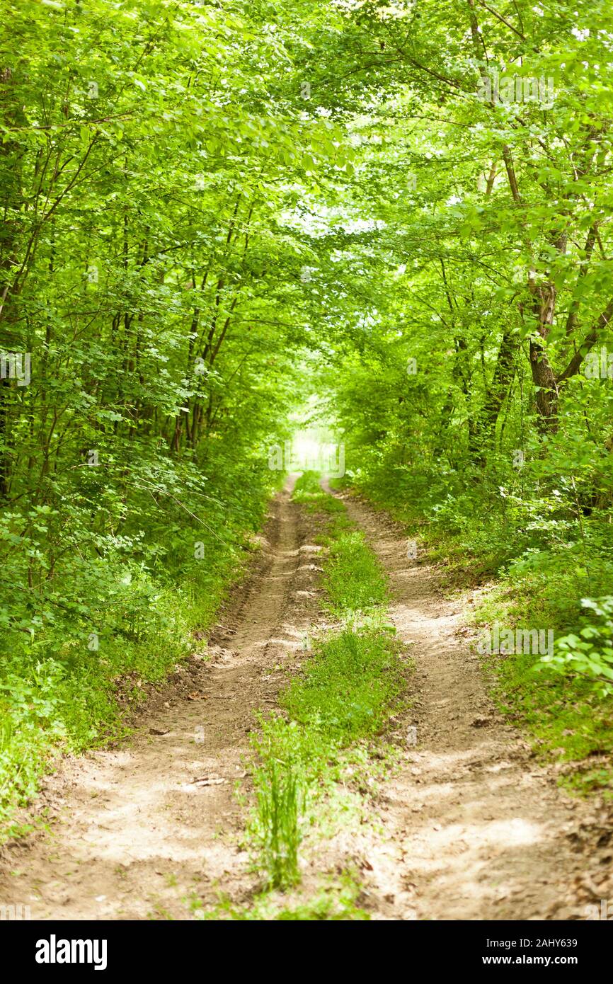 Savage road hi-res stock photography and images - Alamy