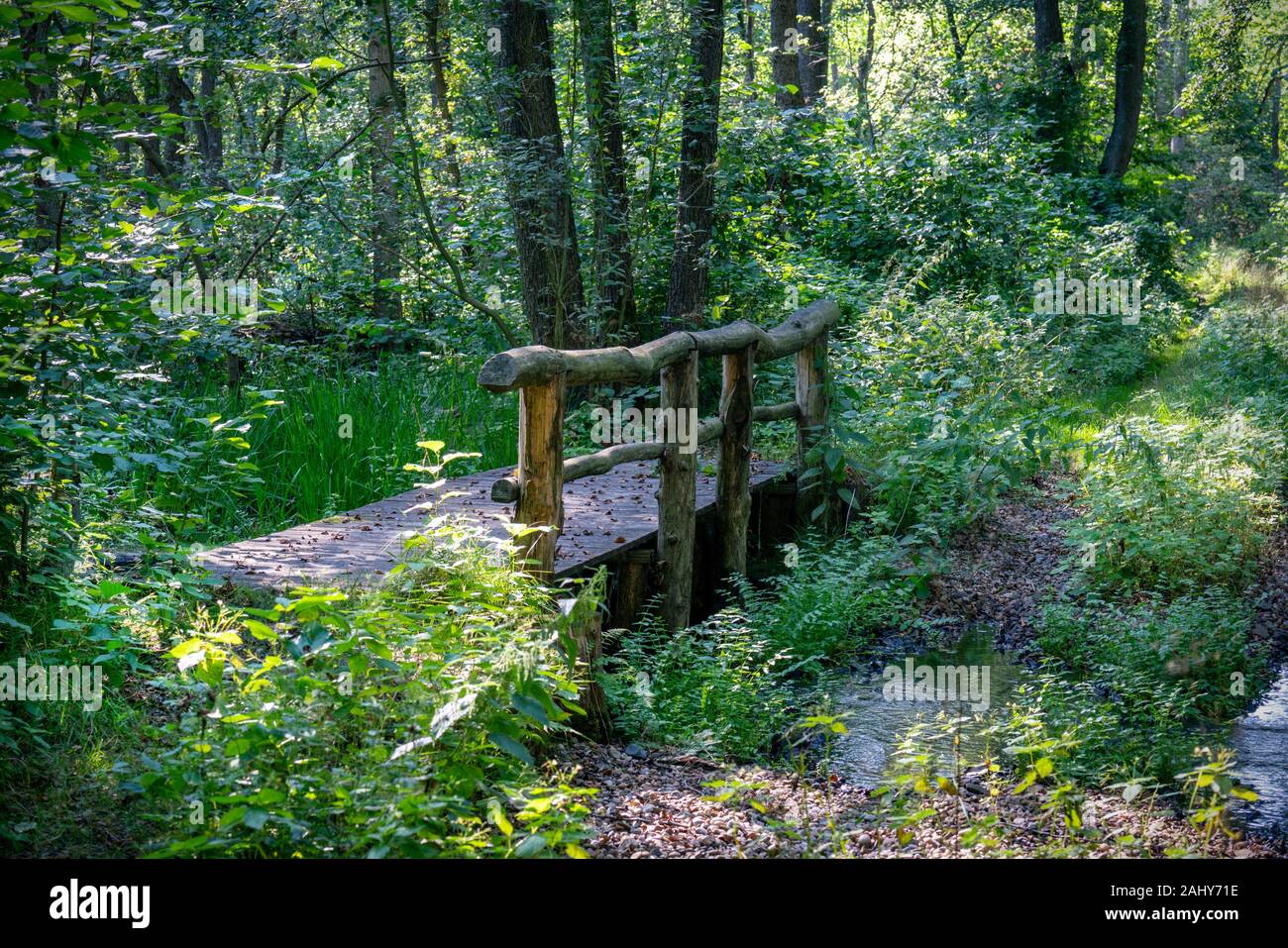 Rays crossing hi-res stock photography and images - Alamy