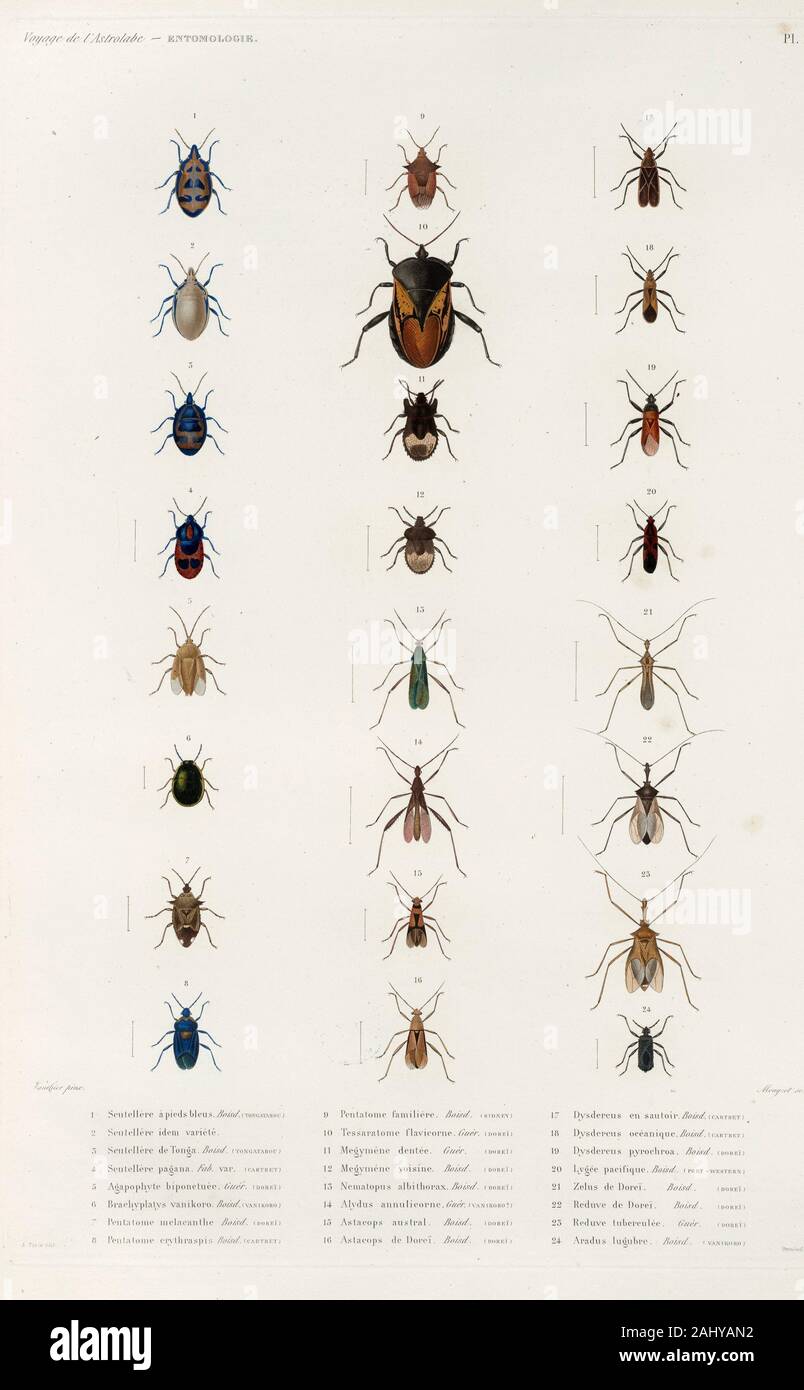 Tonga tabu hi-res stock photography and images - Alamy