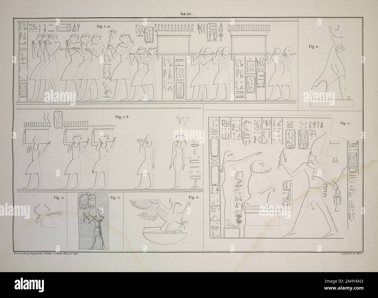 Map of griffin hi-res stock photography and images - Alamy