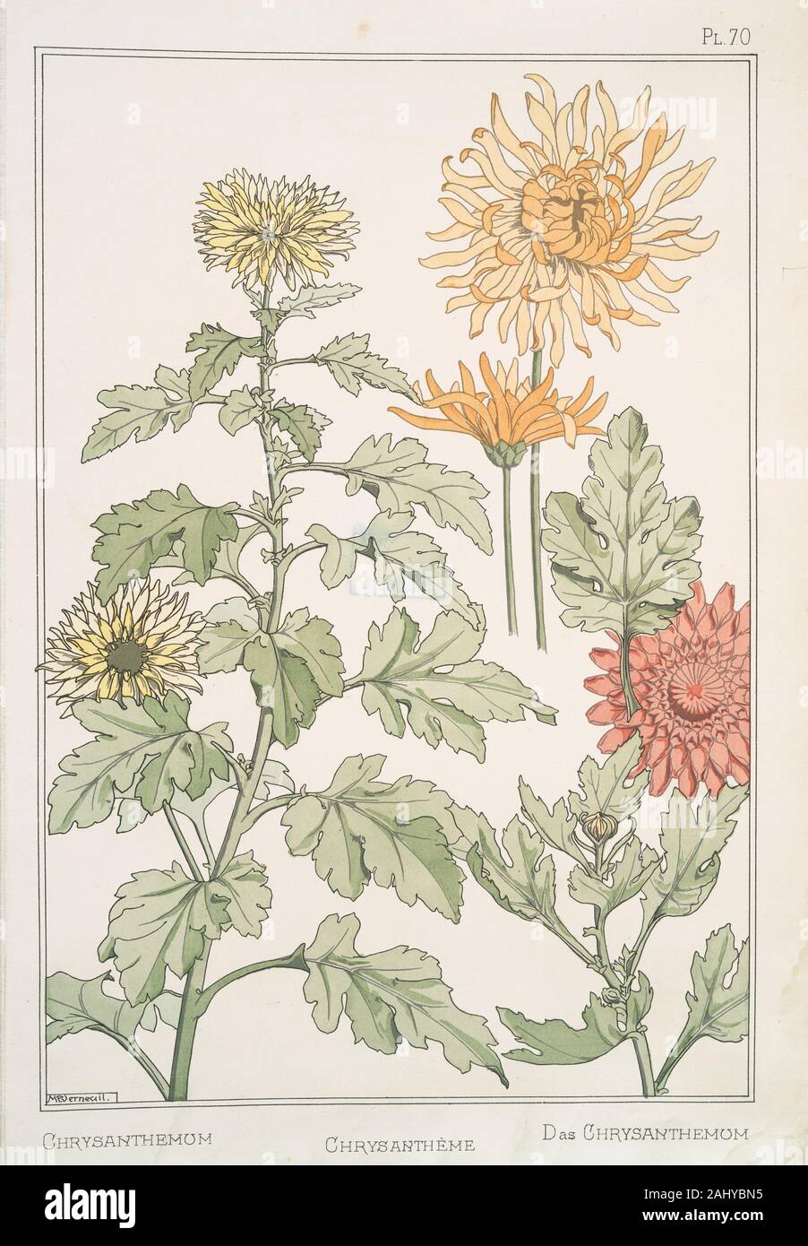 1841 1869 hi-res stock photography and images - Alamy