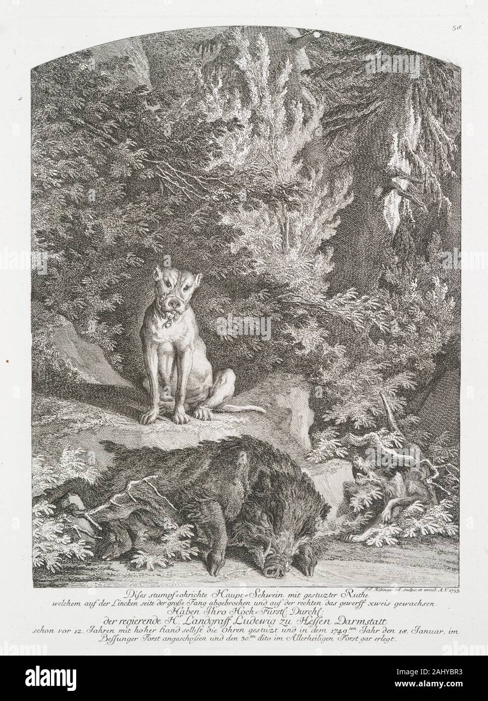 12 Tailed Wolf