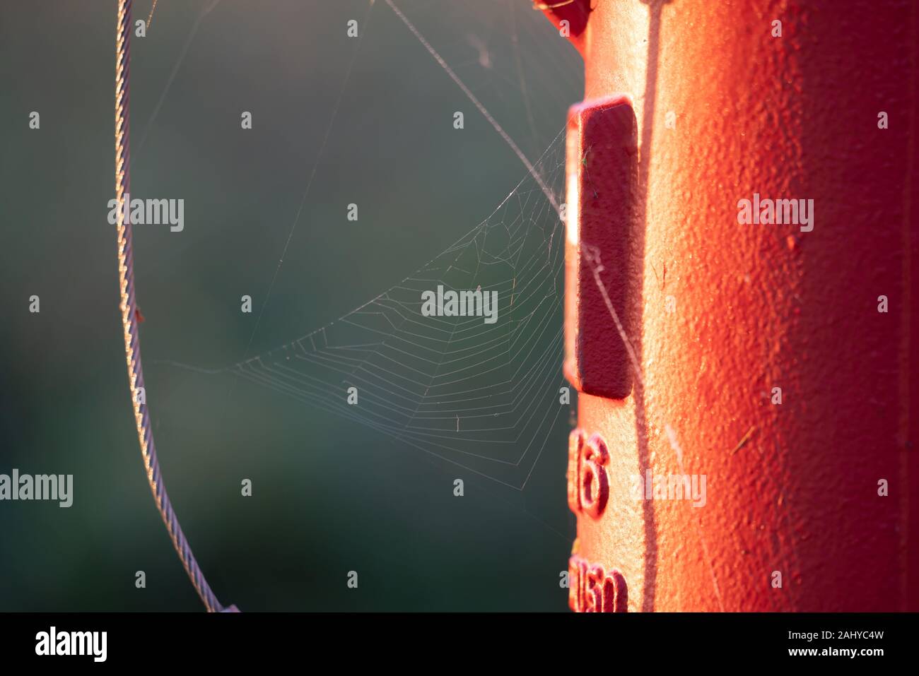 Ceiling cobweb hi-res stock photography and images - Alamy