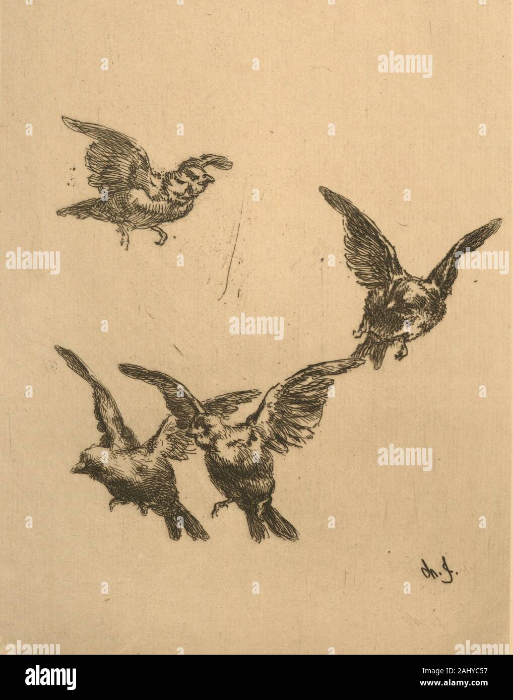 4 birds flying hi-res stock photography and images - Alamy