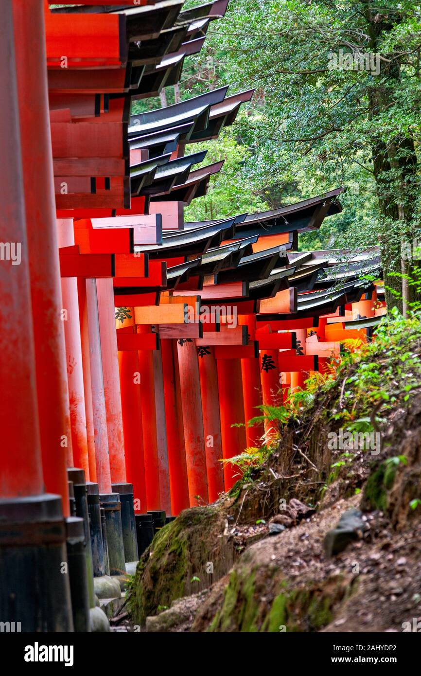 Shinto gates hi-res stock photography and images - Alamy