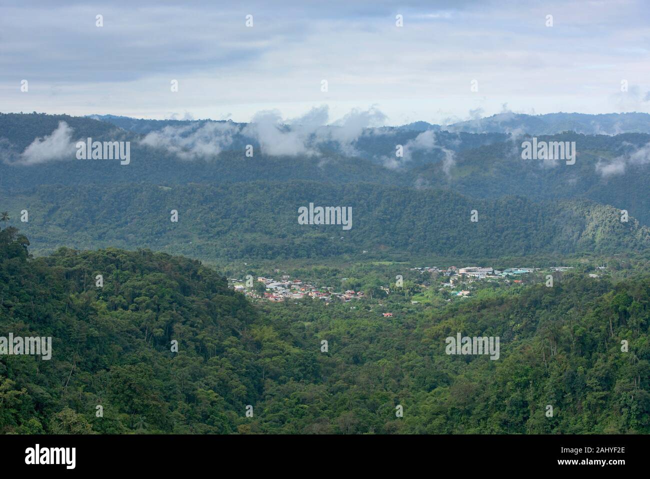 Mindo cloud forest hi-res stock photography and images - Alamy