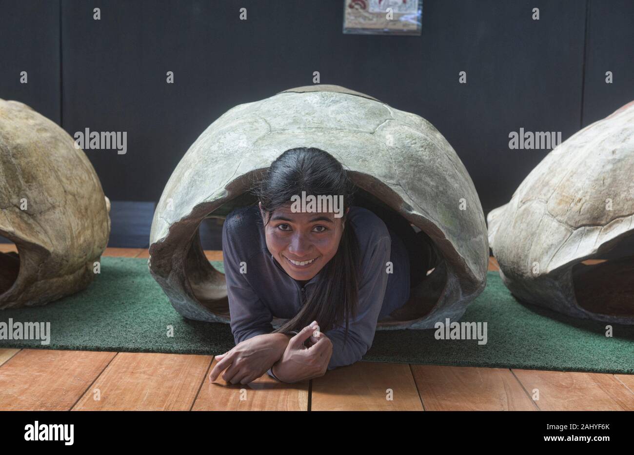 Galapagos giant tortoise complex hi-res stock photography and images ...