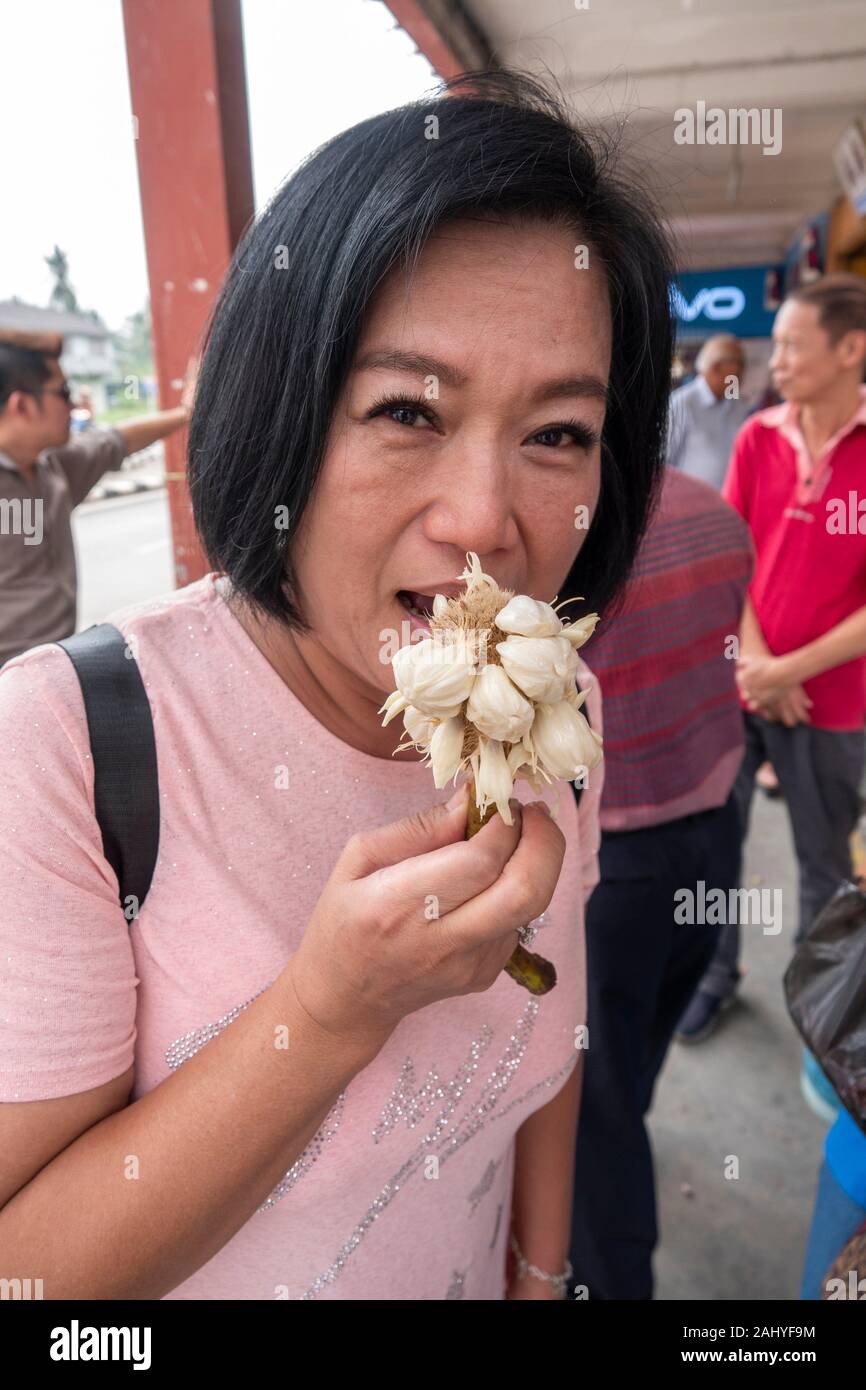 Tasting the wild 'talap' fruits at Marudi (Baram) market, Sarawak ...