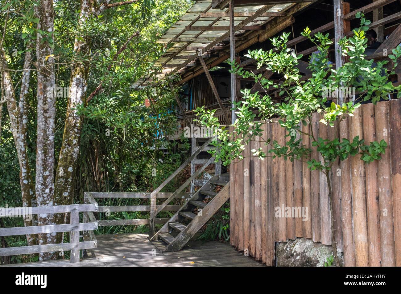 The rainforest forest cafe hi-res stock photography and images - Alamy