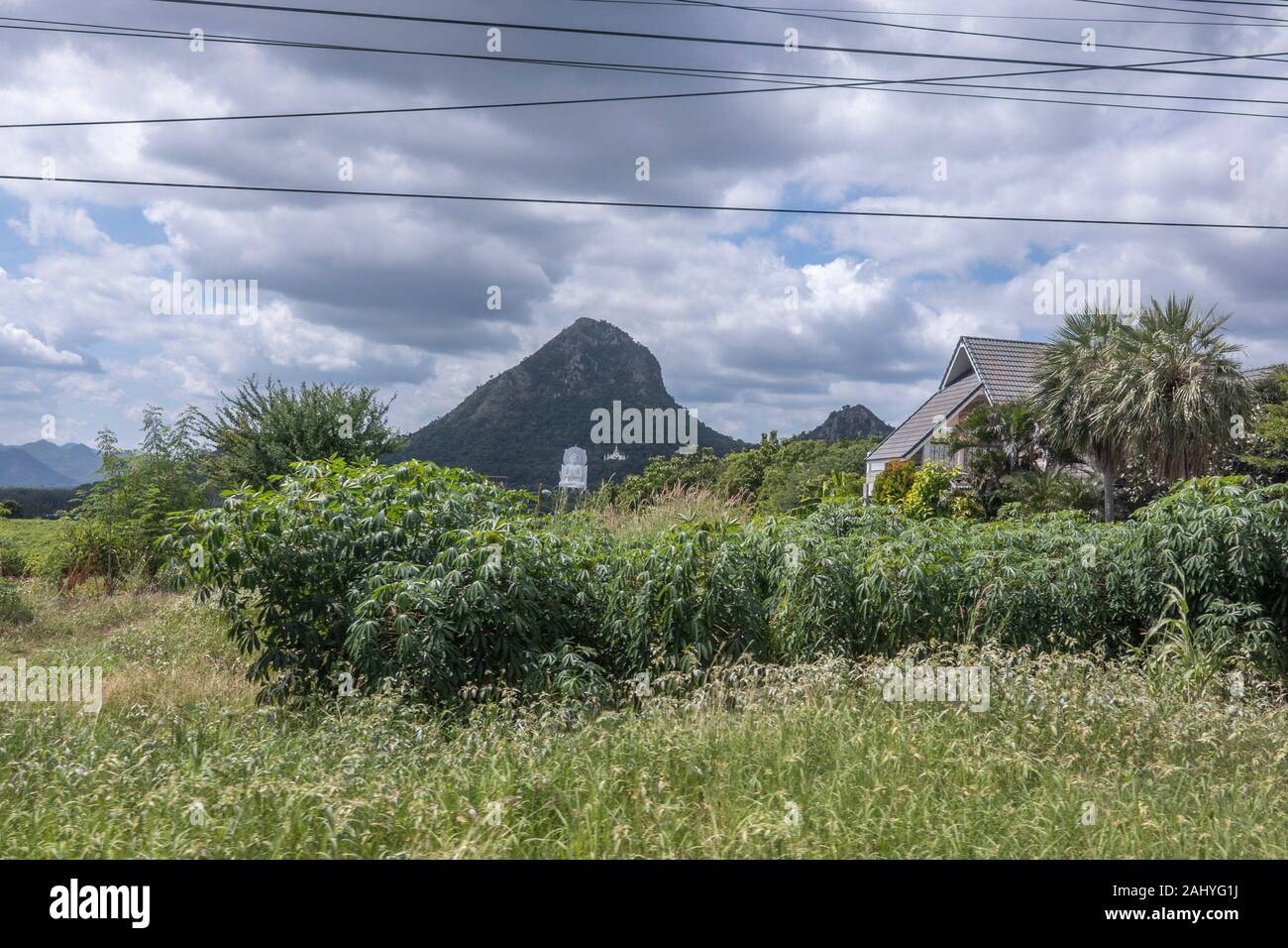 Chai badan district hi-res stock photography and images - Alamy
