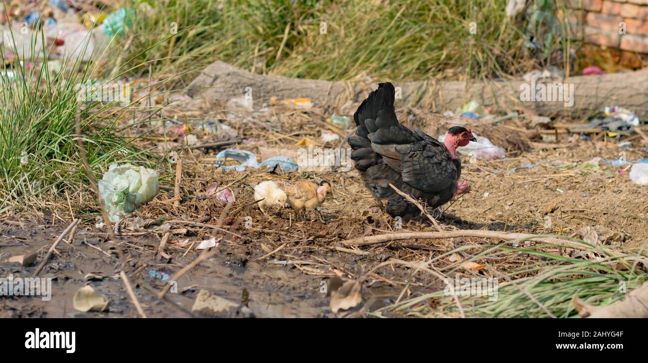 Polluted area hi-res stock photography and images - Alamy