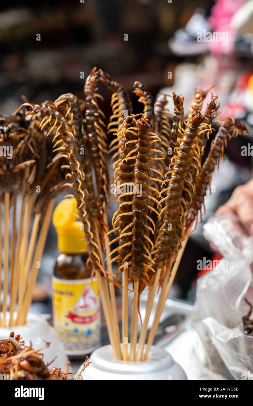 Centipedes High Resolution Stock Photography and Images - Alamy