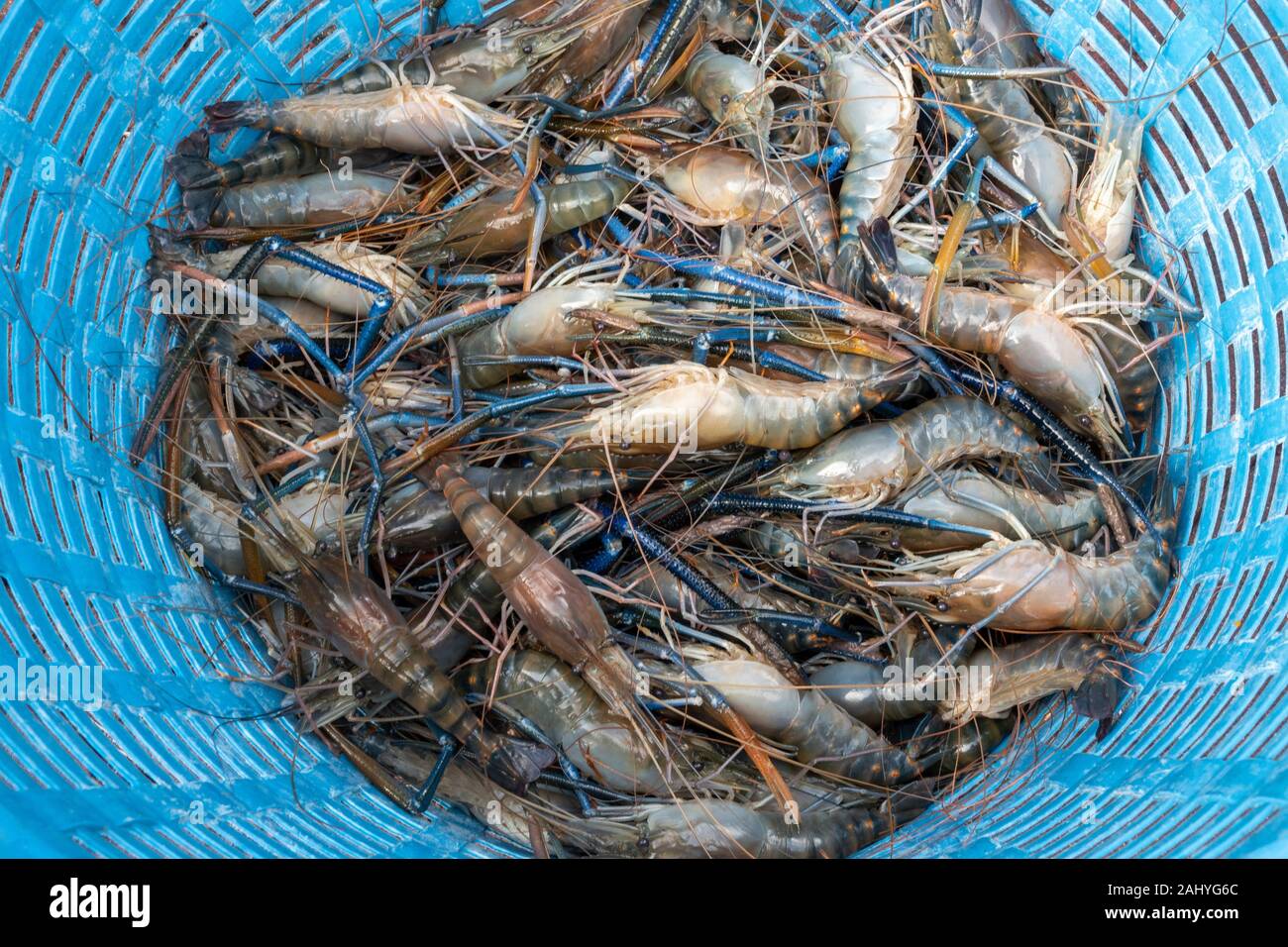 Thailand basket hi-res stock photography and images - Alamy