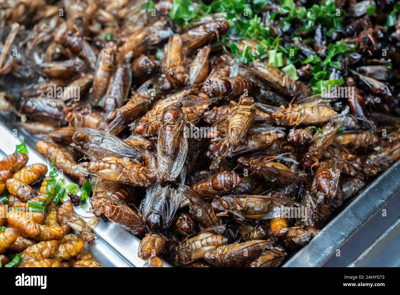 Foodstall selling fried insects at Yaowarat Bangkok Chinatown, Thailand ...