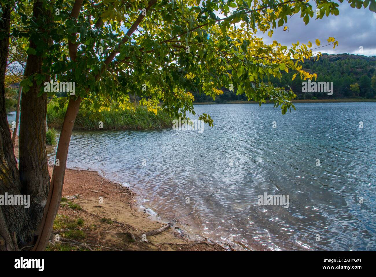 Real nature hi-res stock photography and images - Alamy