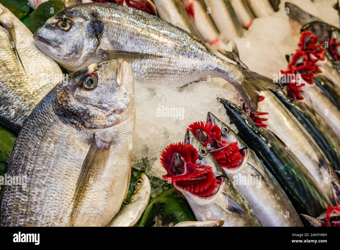 Turkish fish market hi-res stock photography and images - Alamy