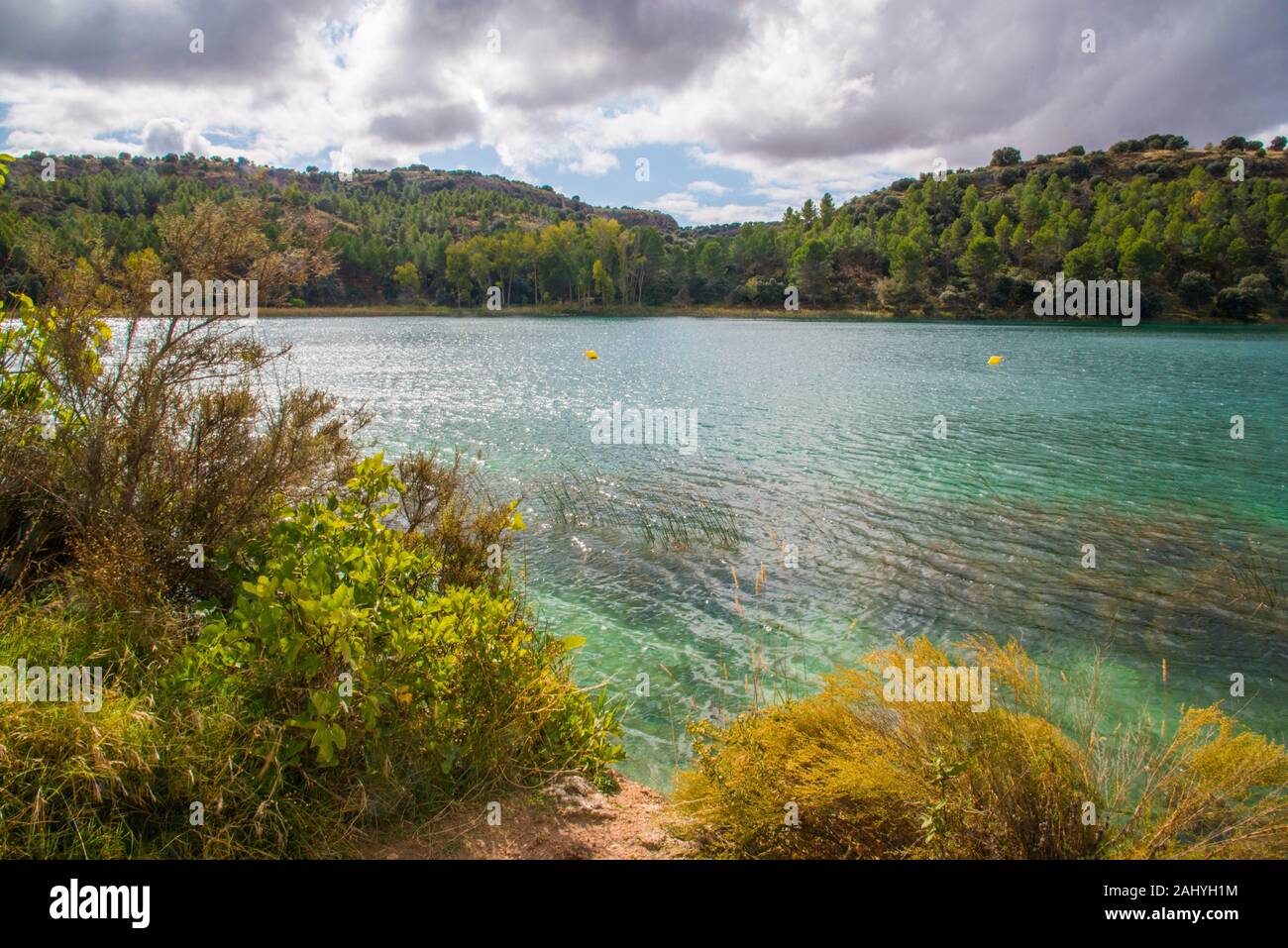 Real nature hi-res stock photography and images - Alamy