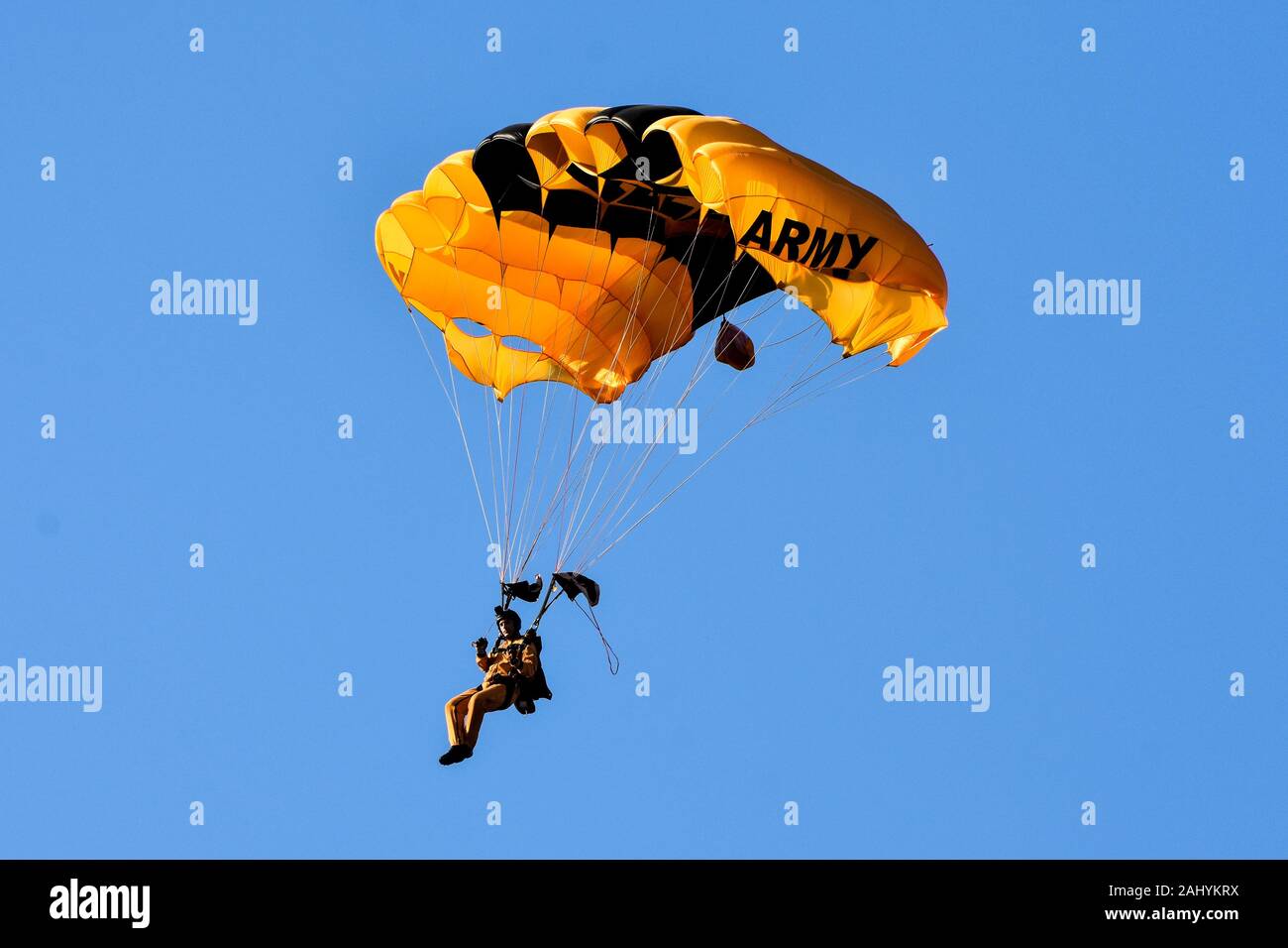 U.S. Army Golden Knights train together during a joint training ...