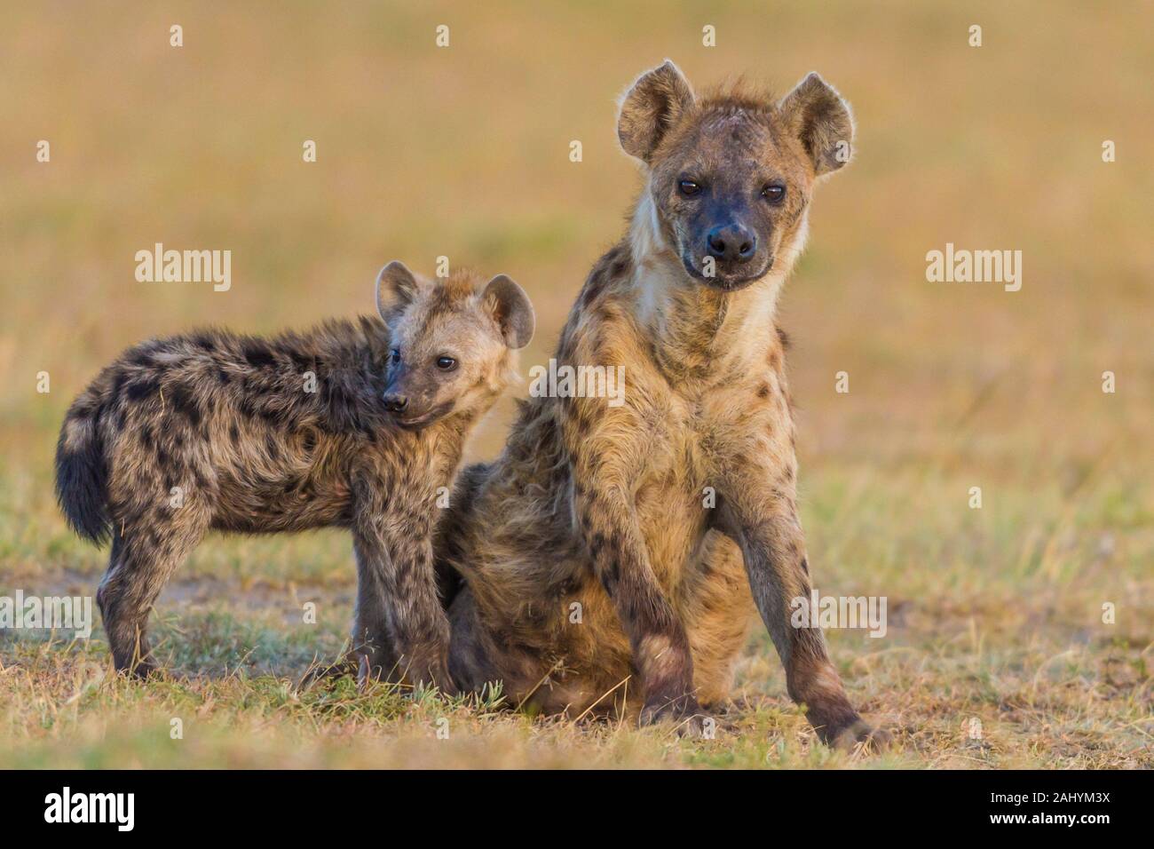 Huena hi-res stock photography and images - Alamy