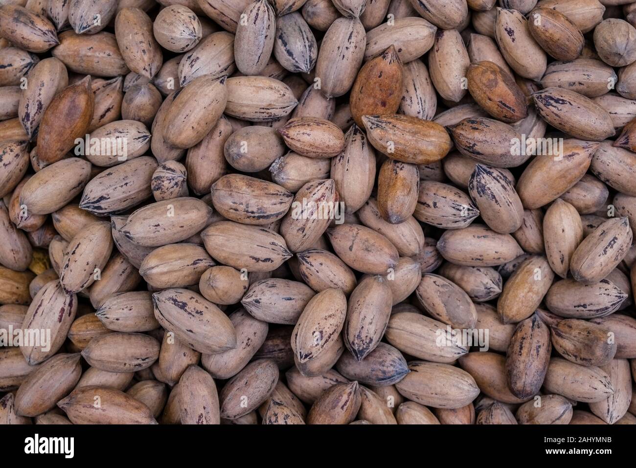 Pekan hi-res stock photography and images - Alamy