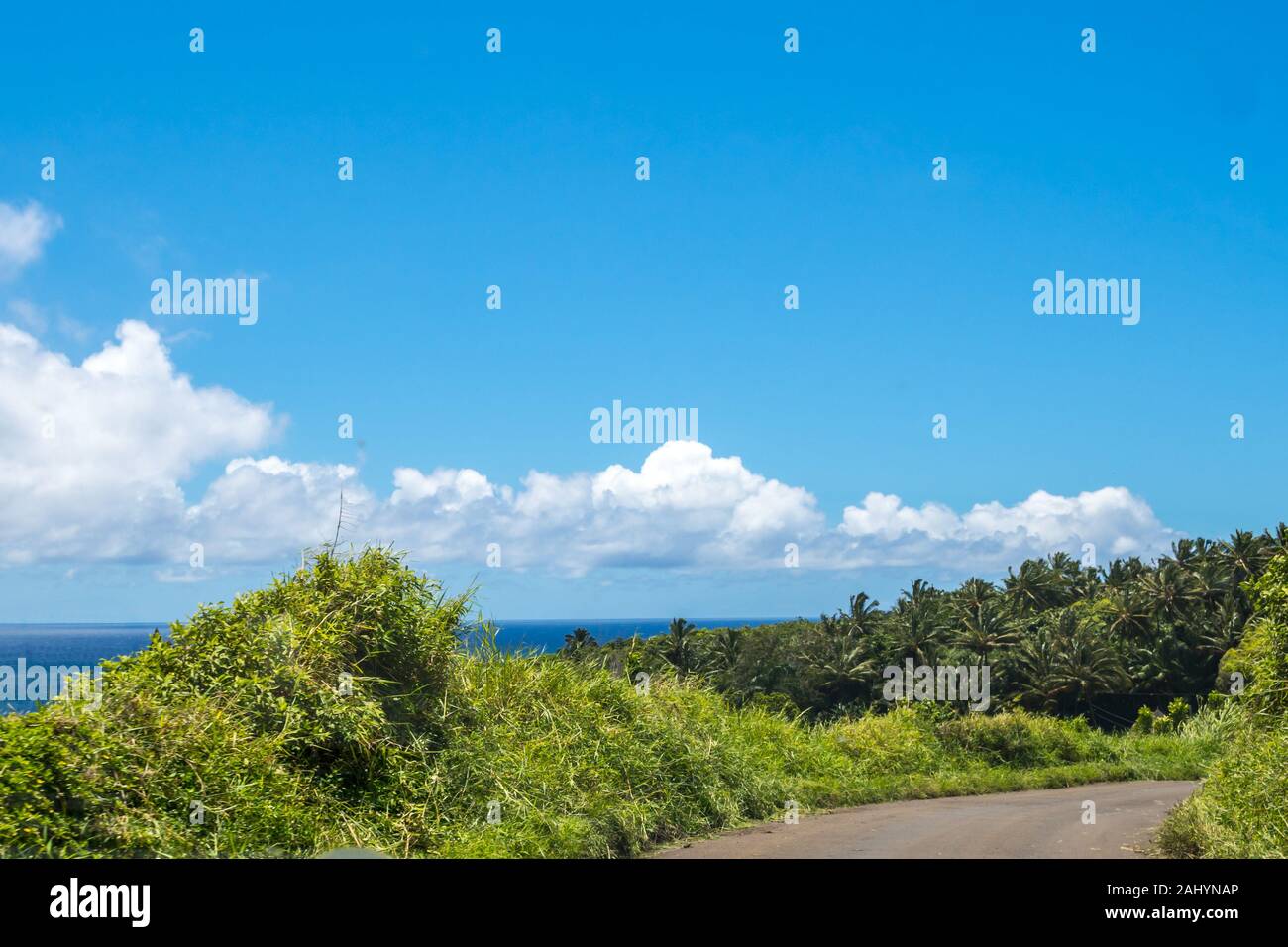 An overlooking view of nature in Maui, Hawaii Stock Photo - Alamy