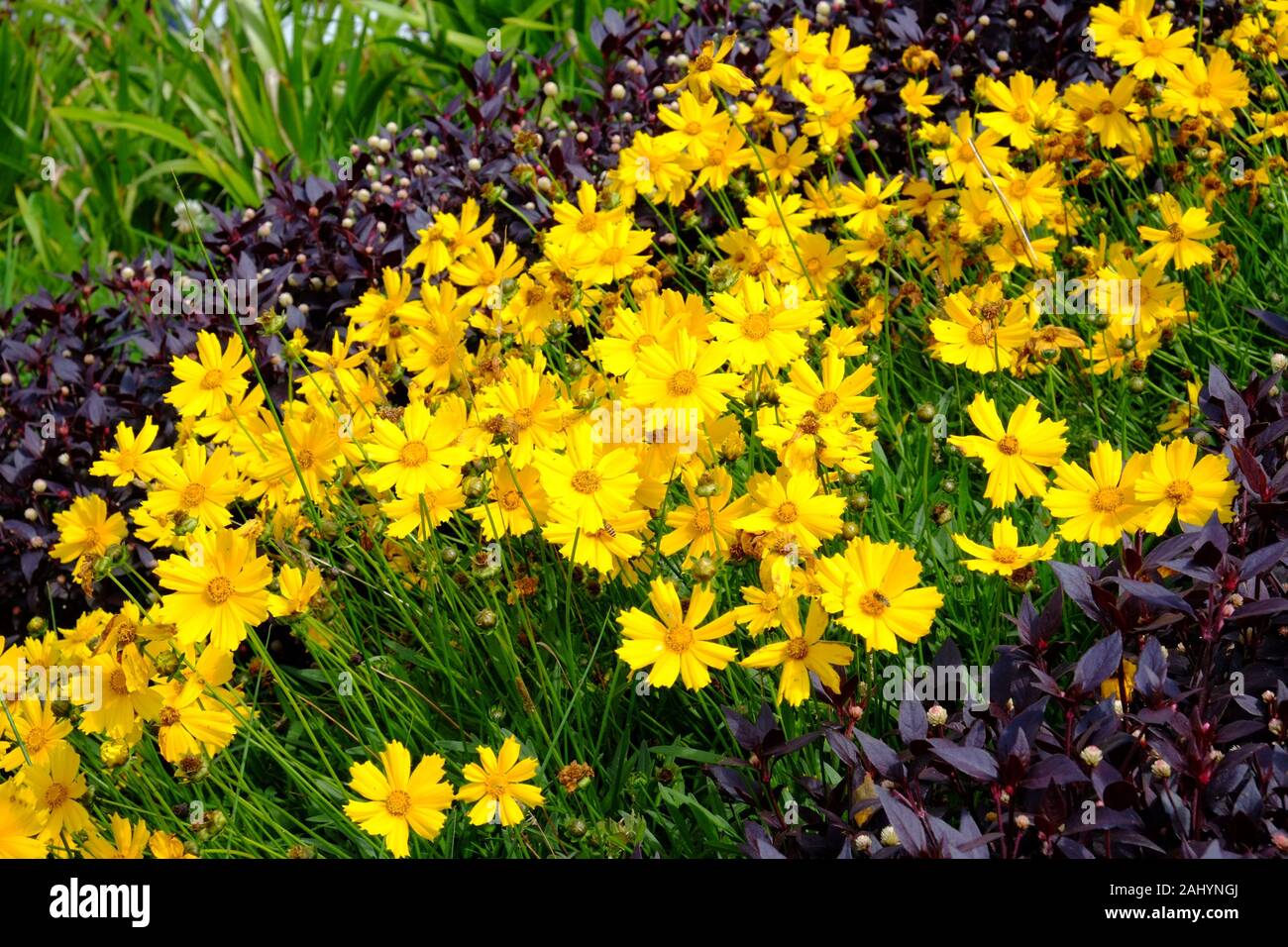 World locations color colour horizontal hi-res stock photography and ...