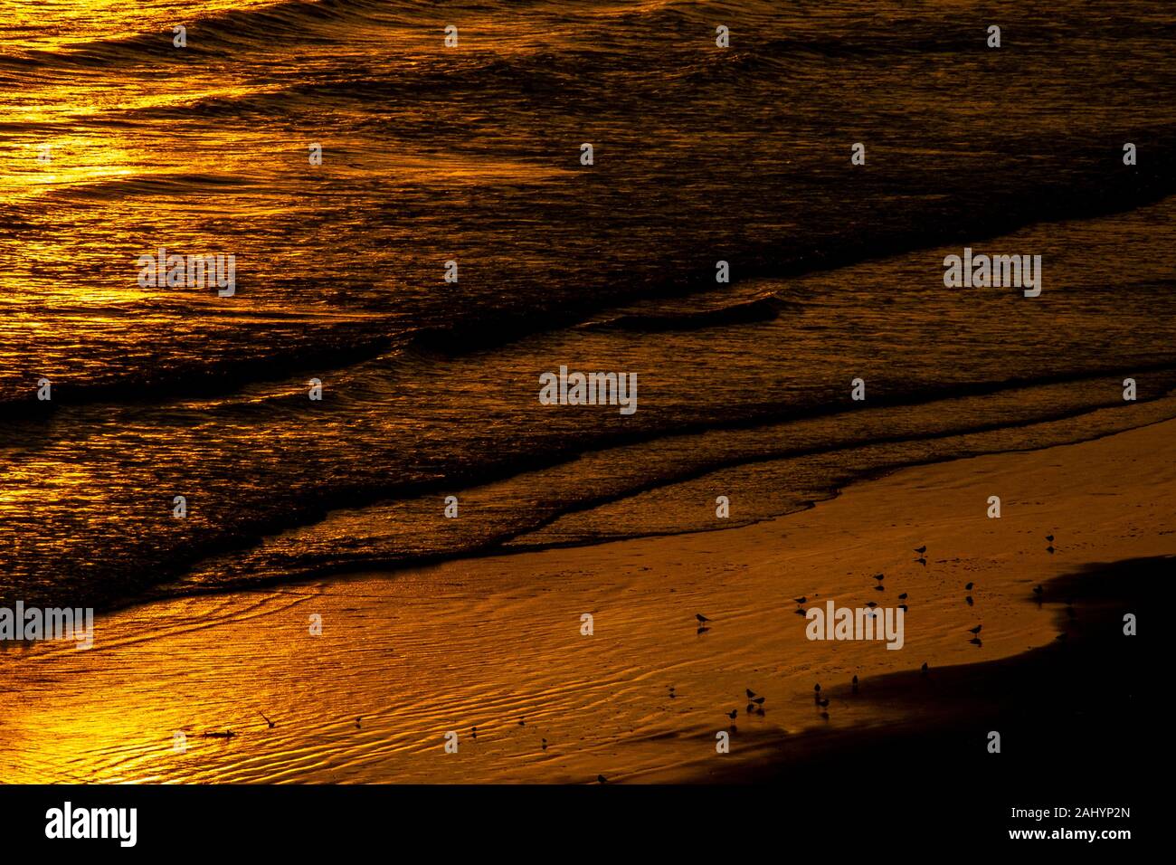 Birde view hi-res stock photography and images - Alamy