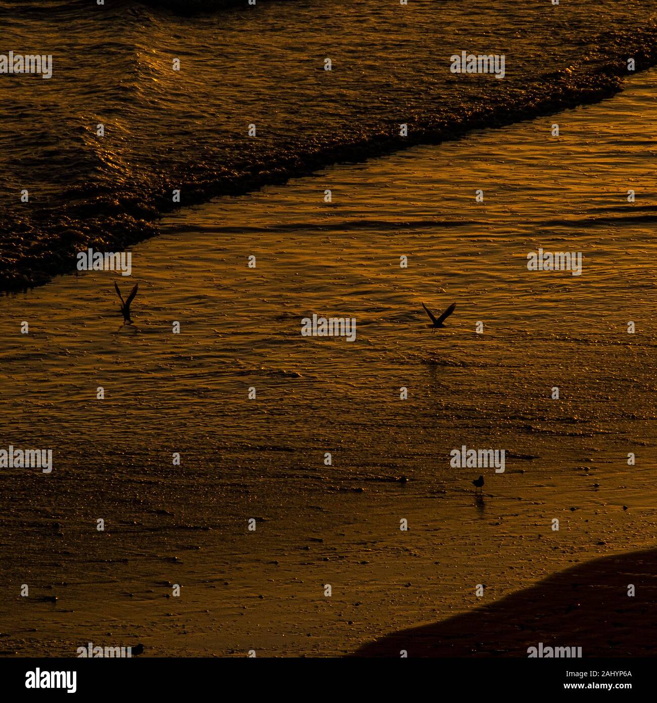 Birde view hi-res stock photography and images - Alamy