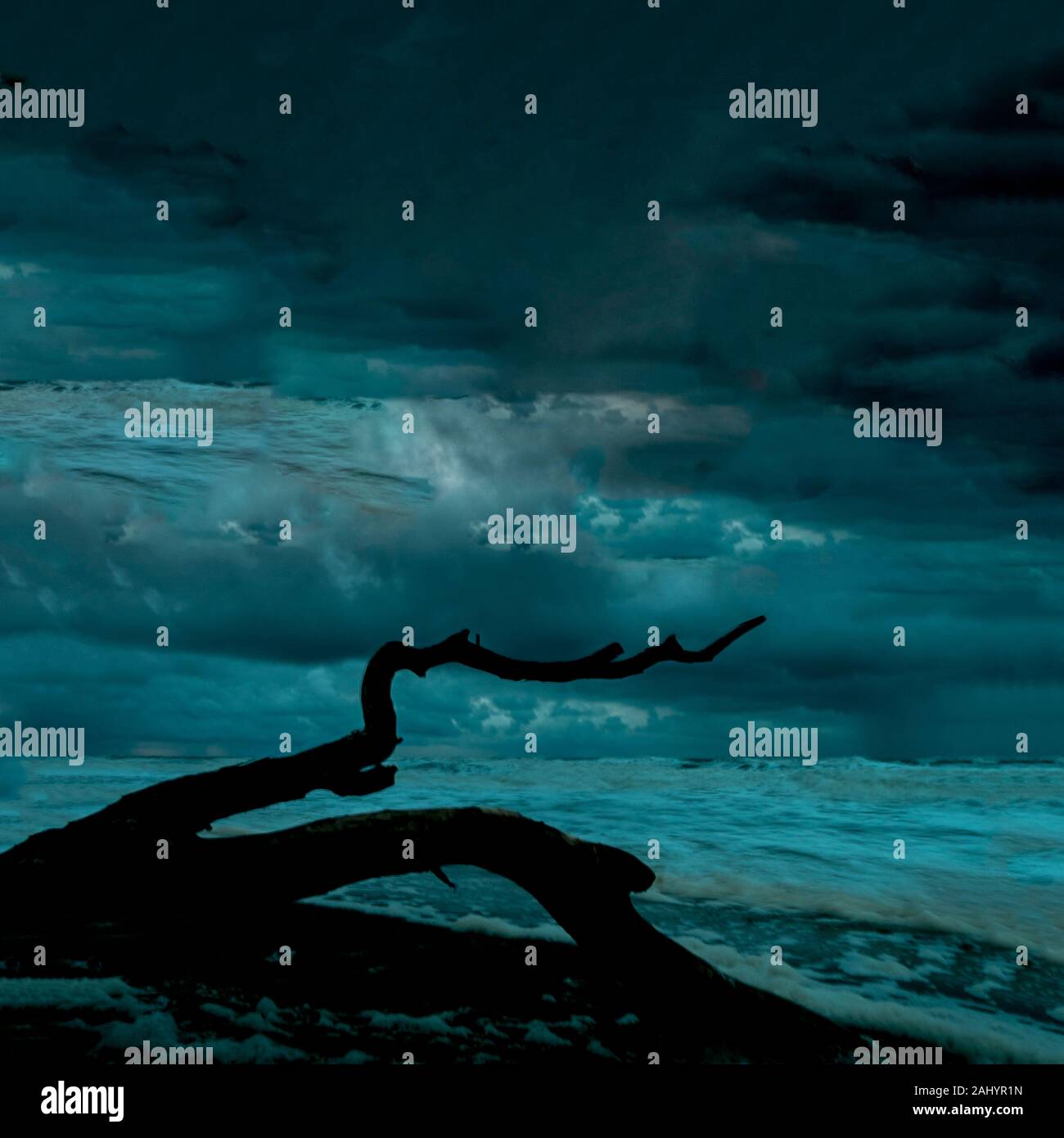 washed-up log and stormy sky at dusk on Yorkshire coast, UK Stock Photo ...