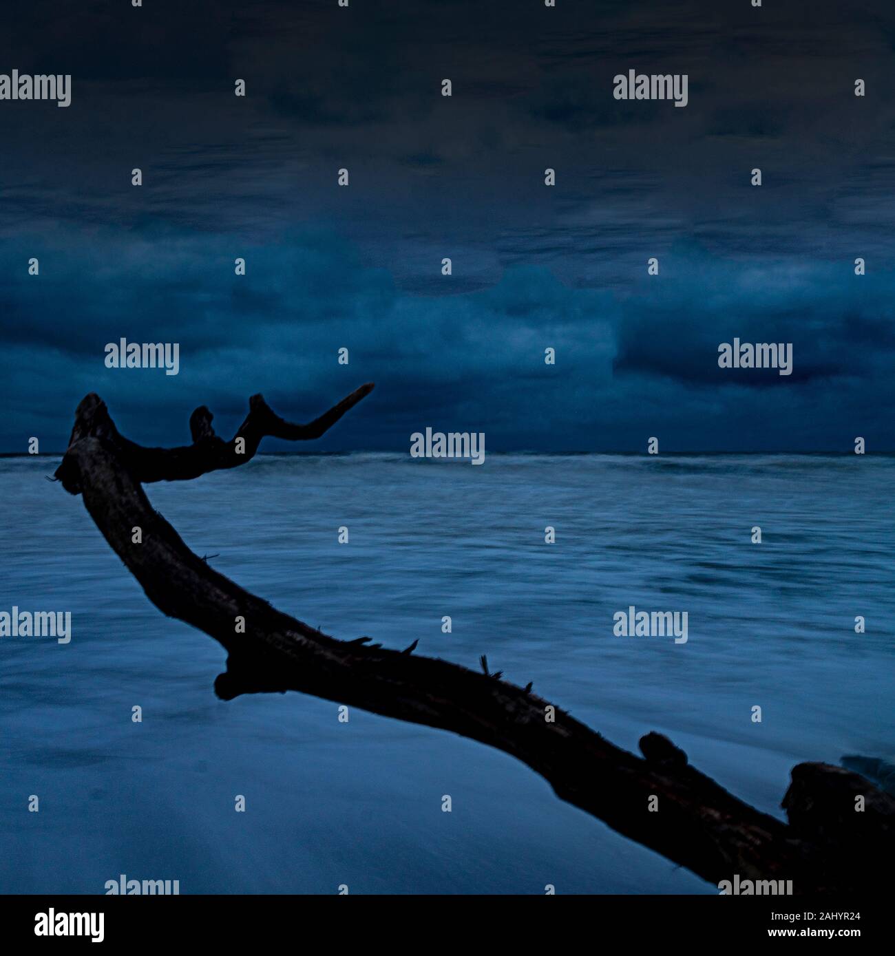 washed-up log and stormy sky at dusk on Yorkshire coast, UK Stock Photo ...