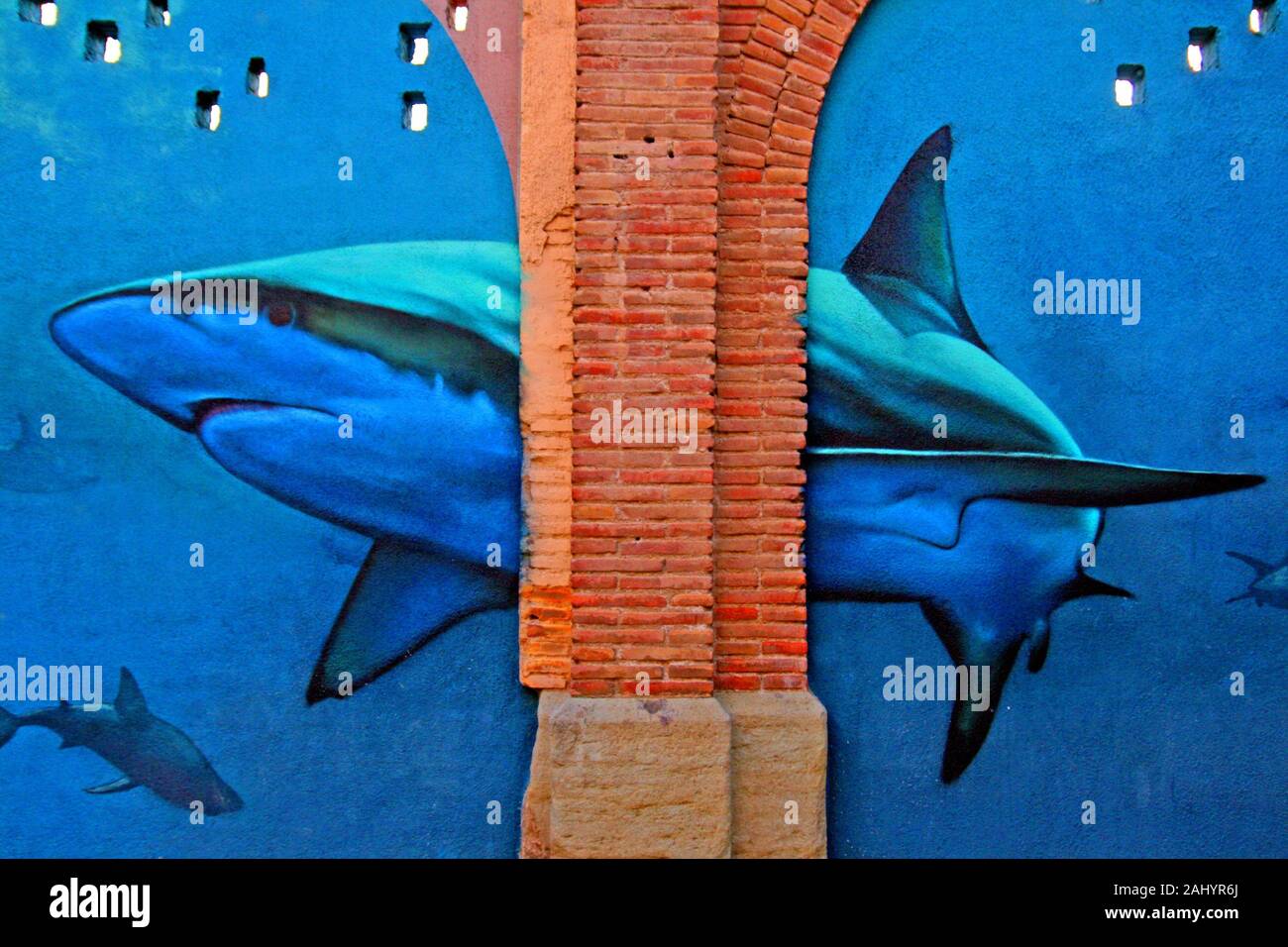 Graffiti shark hi-res stock photography and images - Alamy