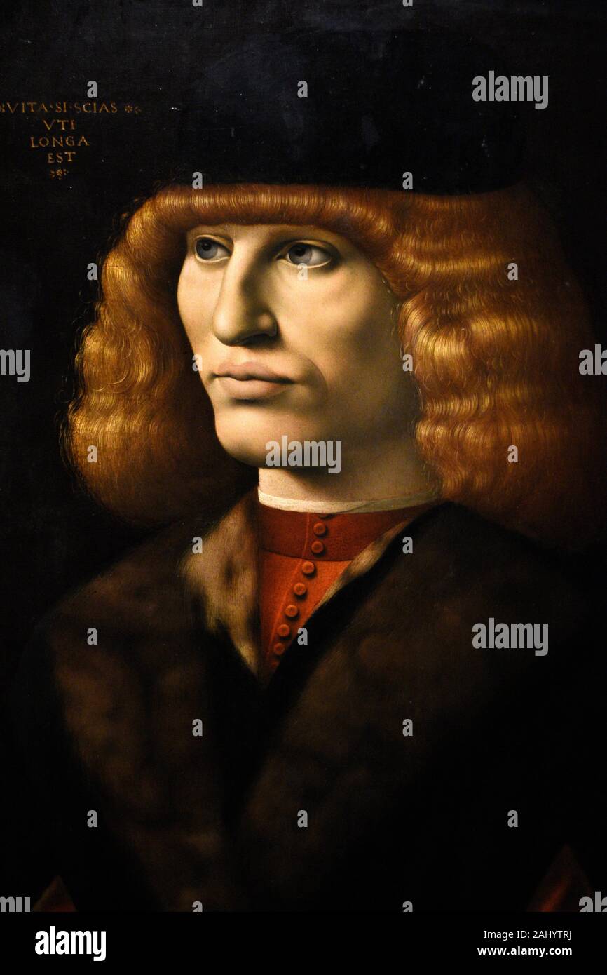 Portrait of a young man, by the artist Giovanni Antonio Boltraffio ...