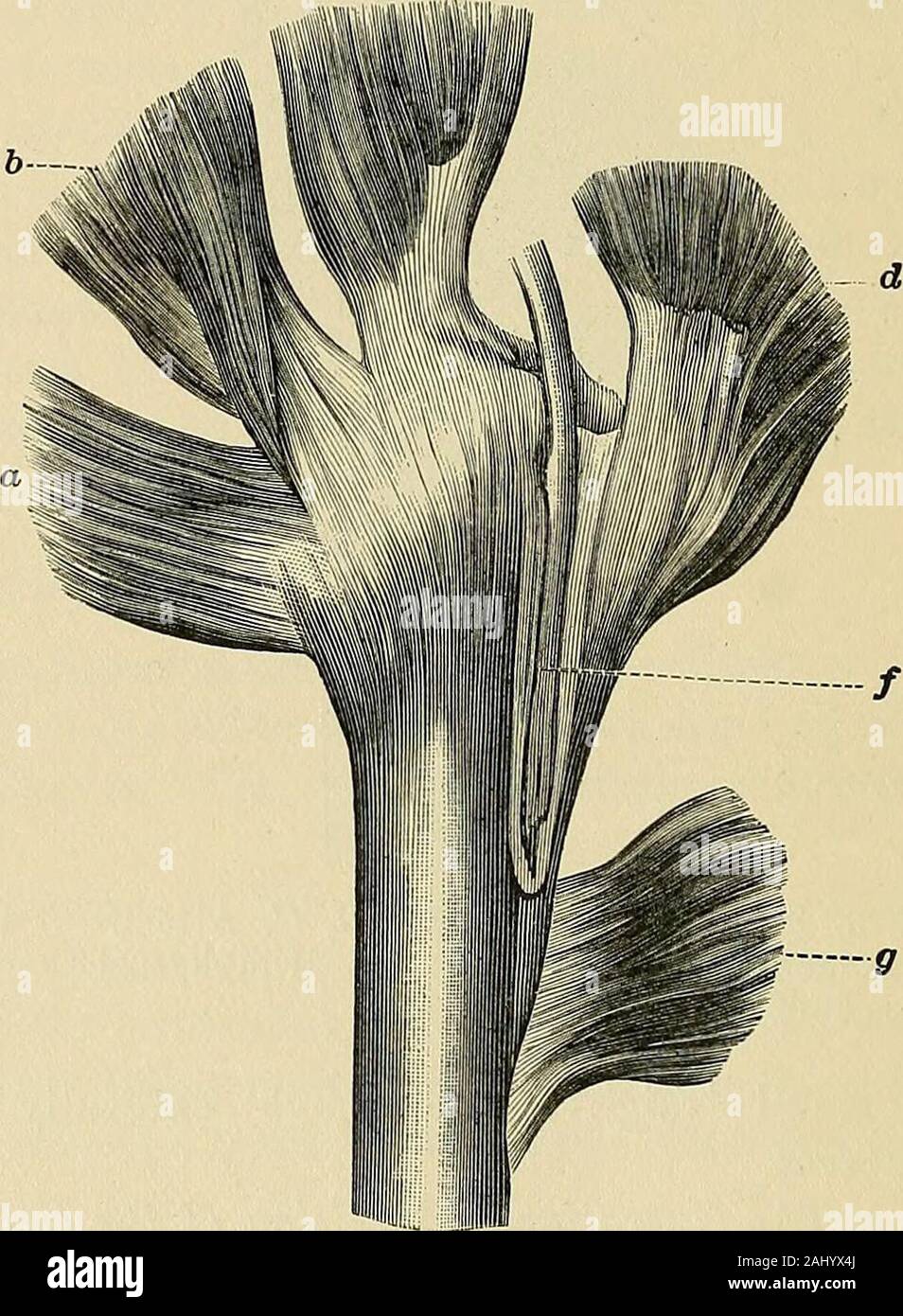 With u shaped si hi-res stock photography and images - Alamy