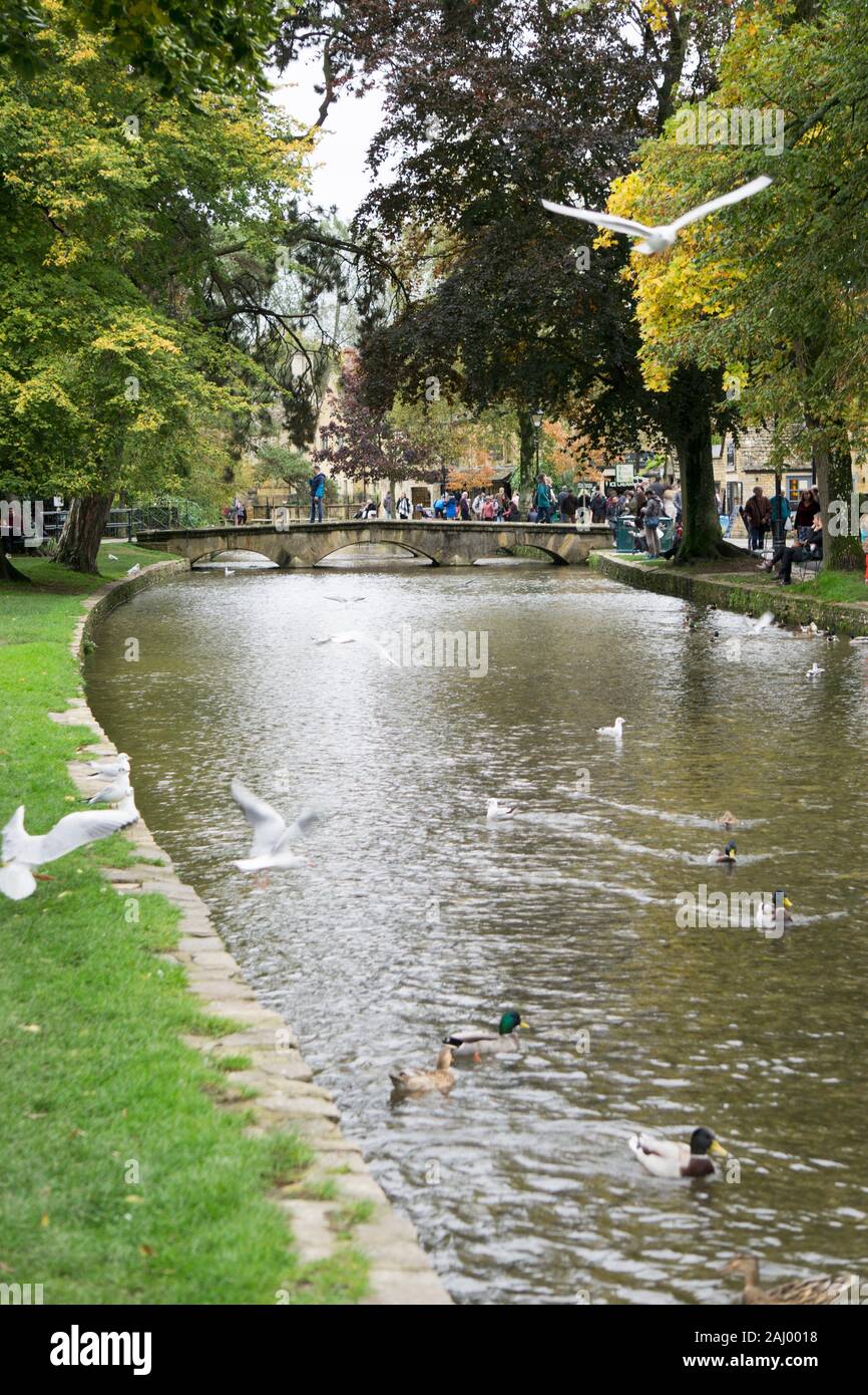 Old water feature cotswolds hi-res stock photography and images - Alamy