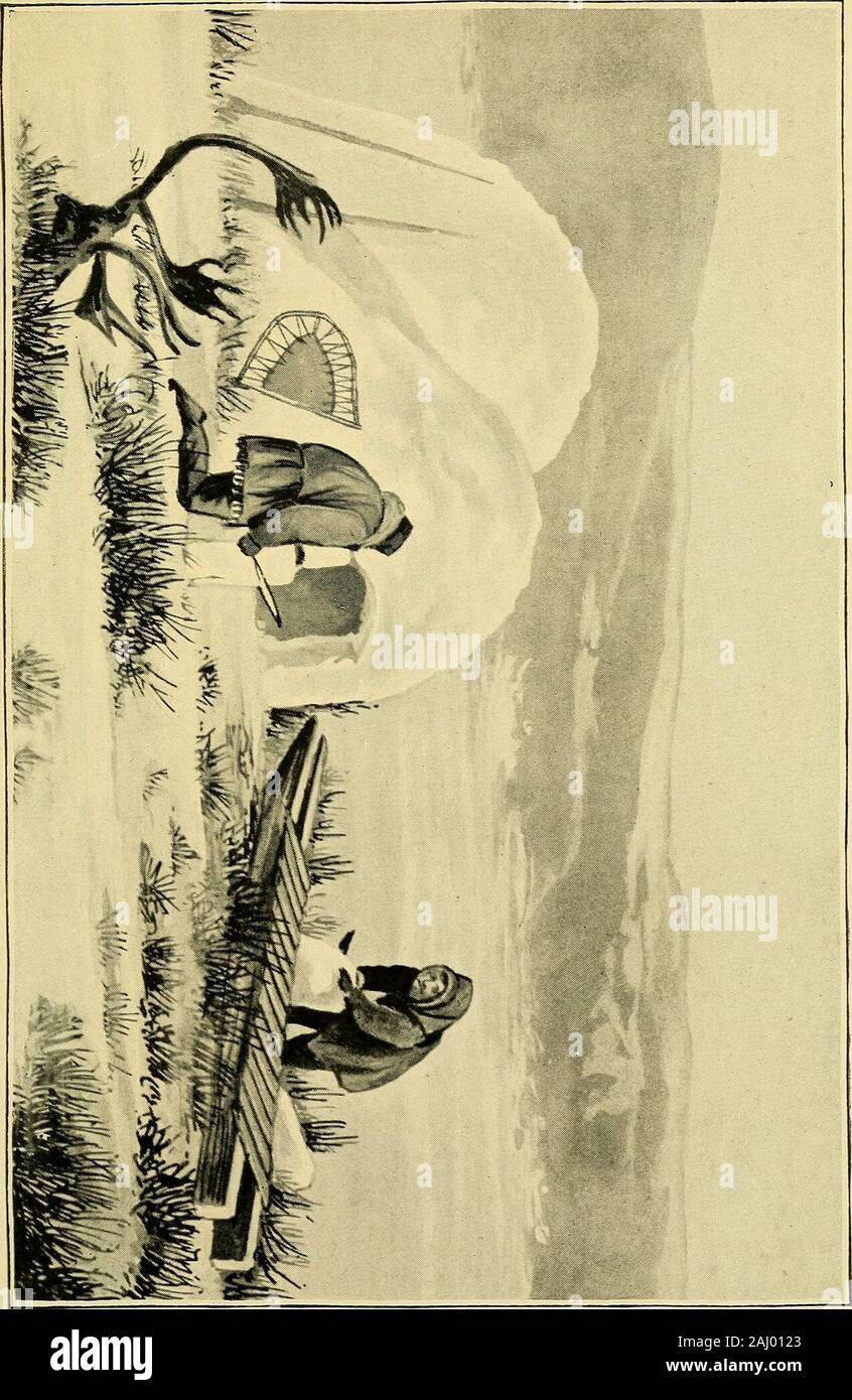 Eskimo blubber hi-res stock photography and images - Alamy