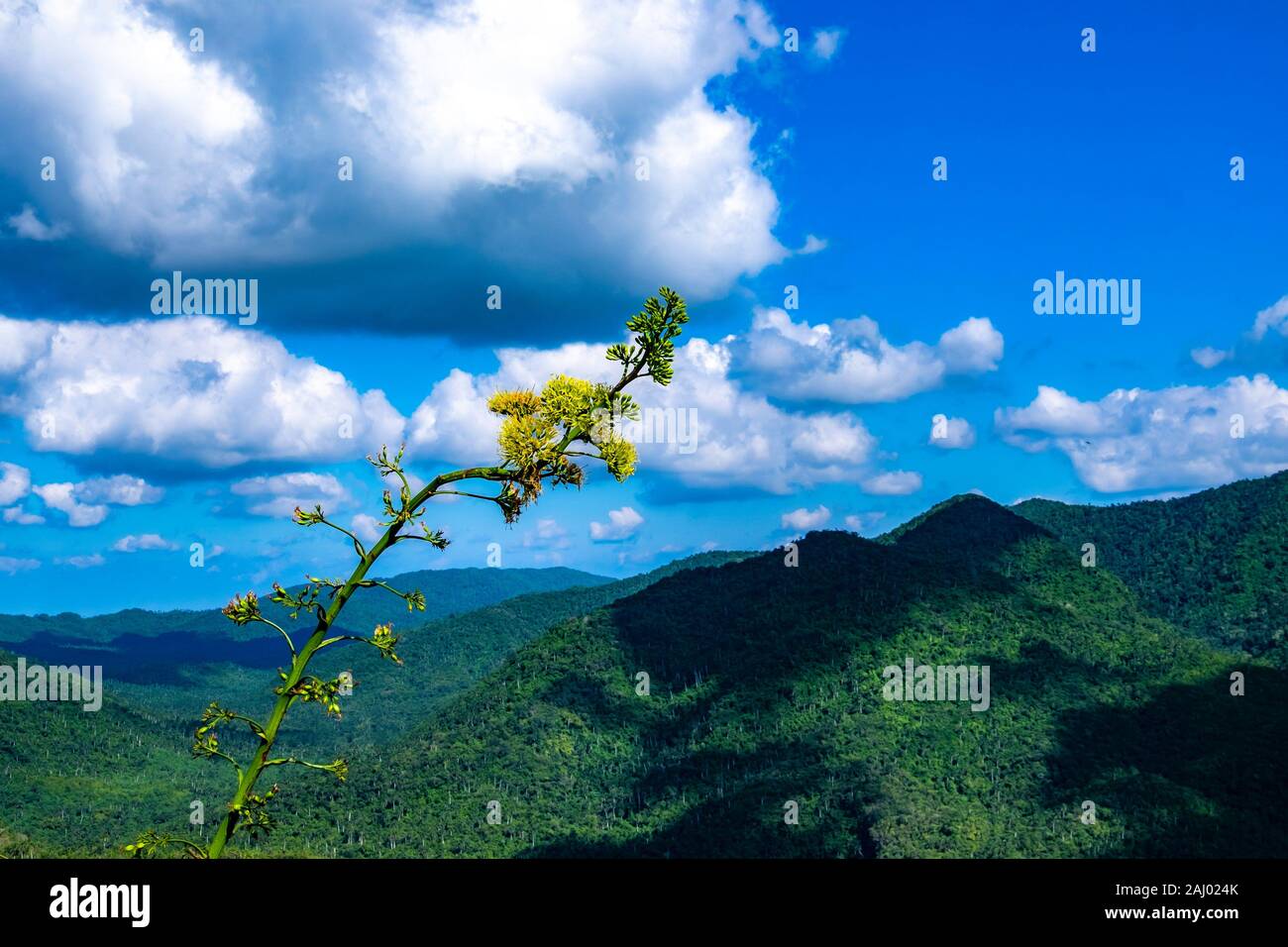 Cuba nature landscape beautiful hi-res stock photography and images - Alamy