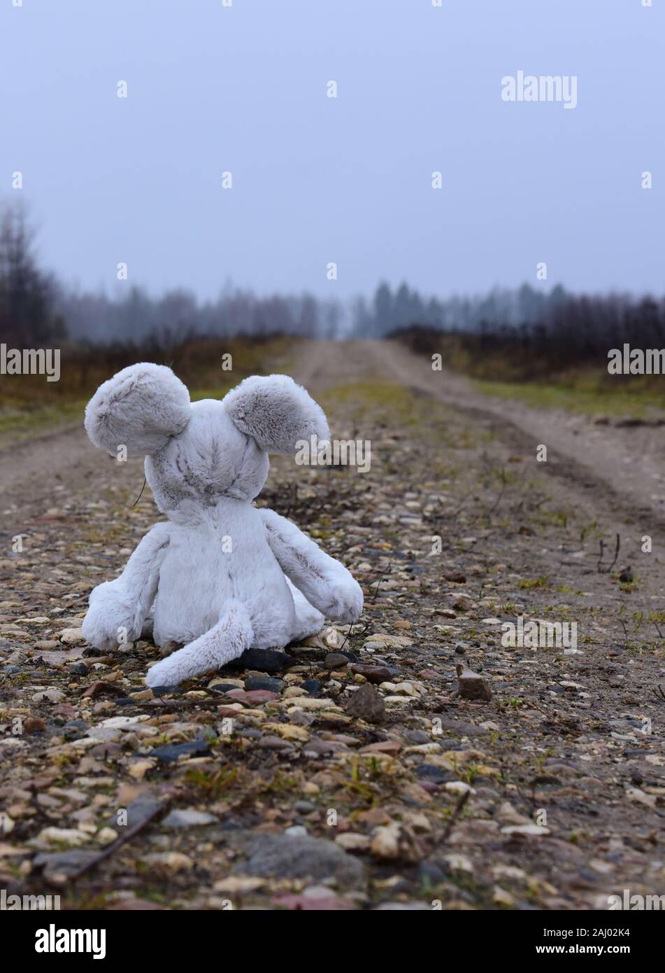 Toy soft mouse sitting hi-res stock photography and images - Alamy