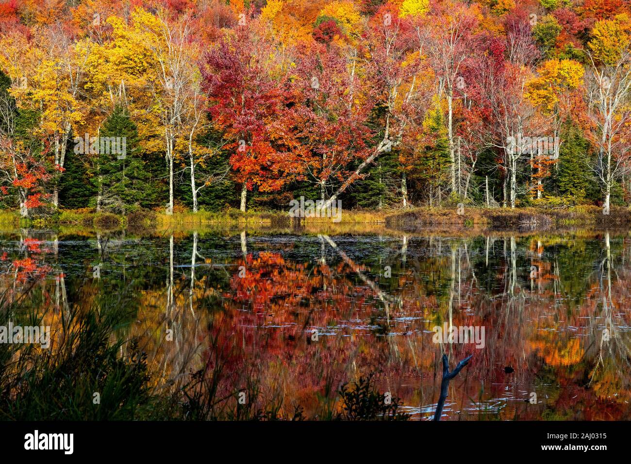 Autumn in Mont Orford National Park, Eastern Townships, Quebec, Canada ...
