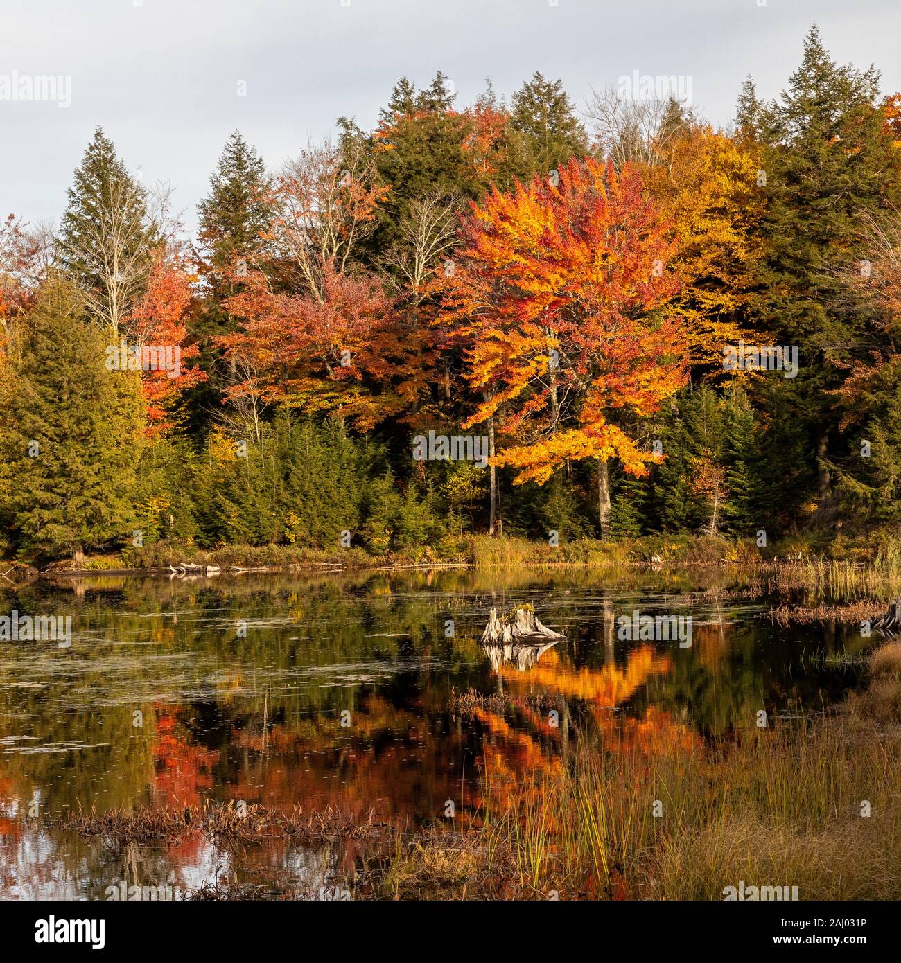Autumn in Mont Orford National Park, Eastern Townships, Quebec, Canada ...