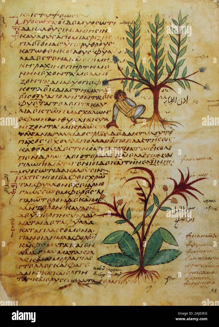 Uncial Calligraphy High Resolution Stock Photography and Images - Alamy