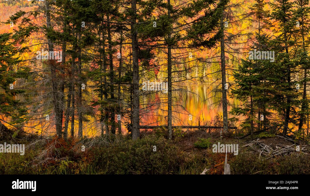 Autumn in Mont Orford National Park, Eastern Townships, Quebec, Canada ...