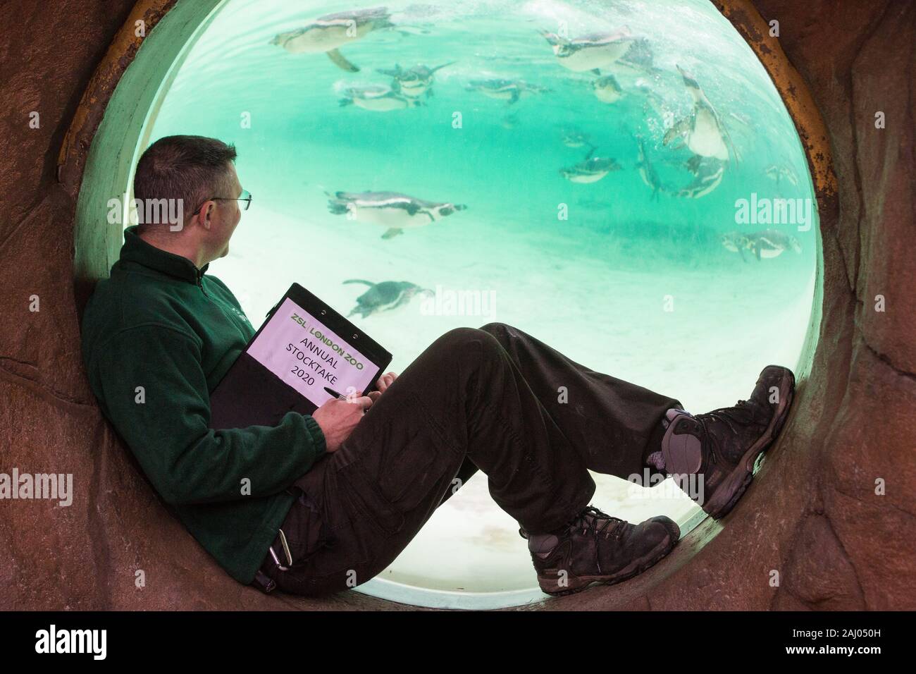 Zoo licence hi-res stock photography and images - Alamy