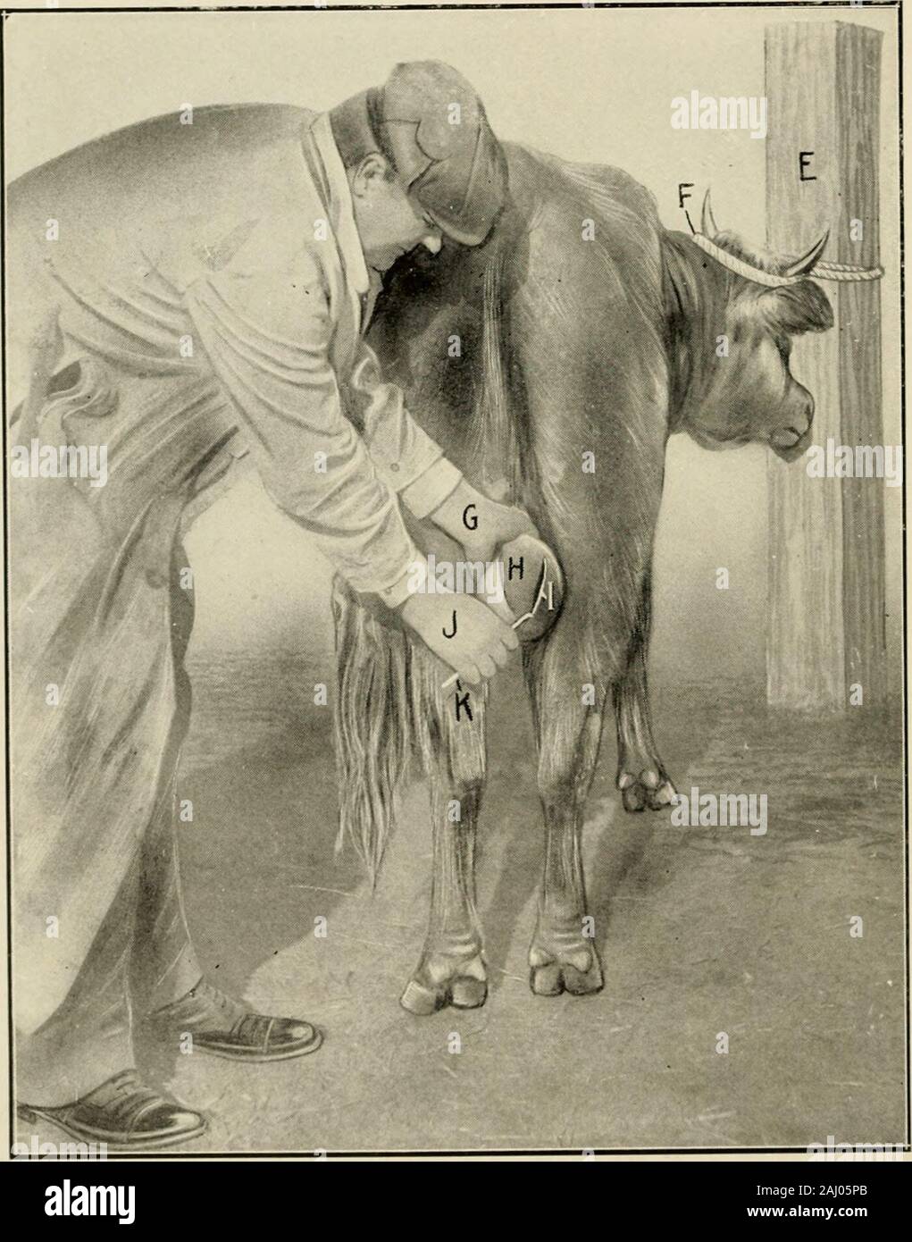 Scrotal swelling hi-res stock photography and images - Alamy
