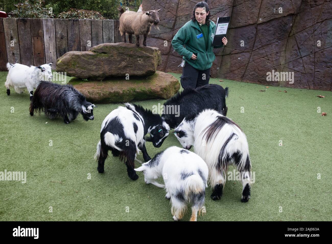 Zoo licence hi-res stock photography and images - Alamy