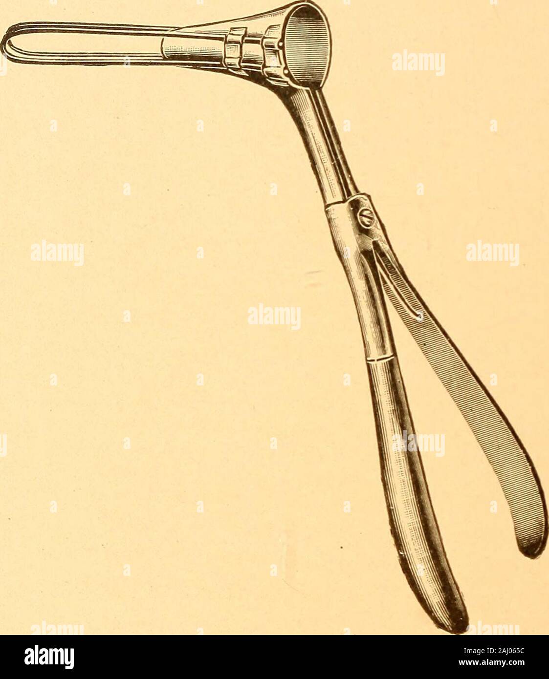 A manual of diseases of the nose and throat . of cartilage and bone ...