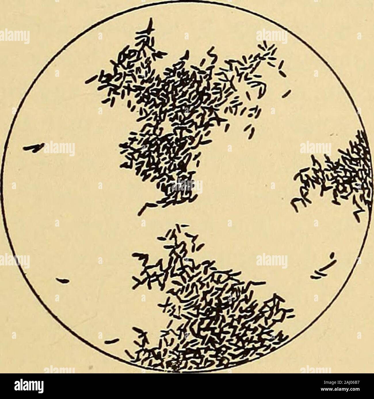 Diagnostic methods, chemical, bacteriological and microscopical : a ...