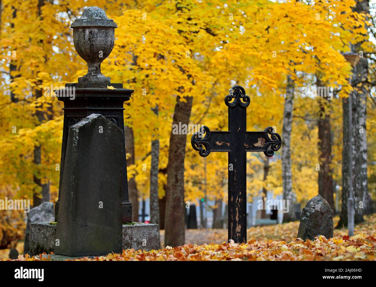 An old memorial on an ancient graveyard with beautiful yellow maple ...