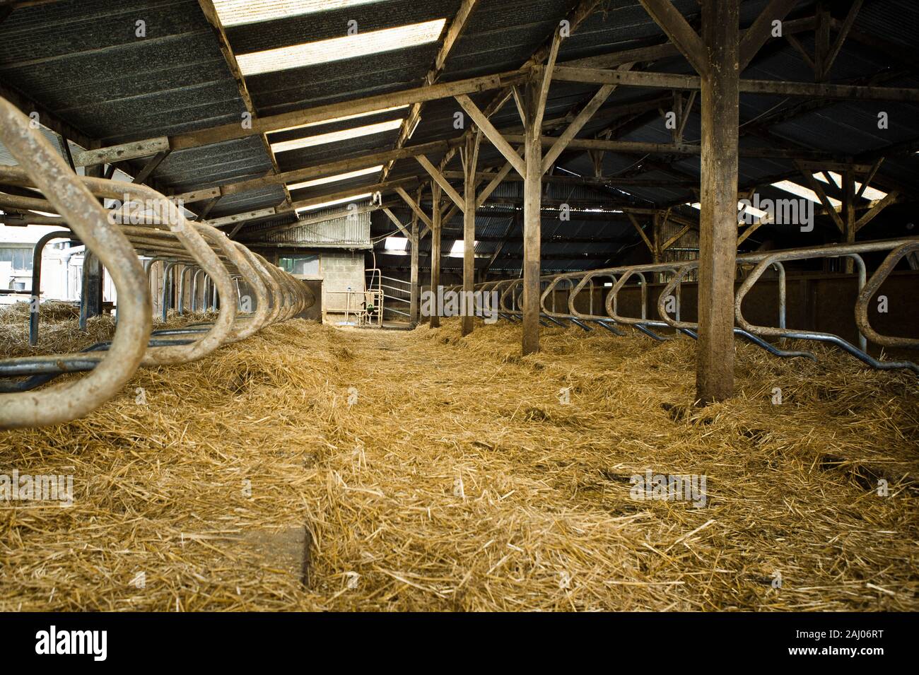 Chevaigne hi-res stock photography and images - Alamy