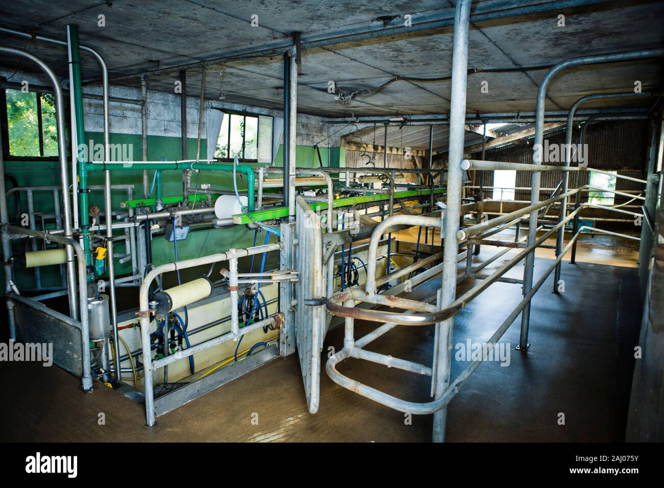 Cattle breeding: empty milking room in the dairy farm EARL Gibet in ...