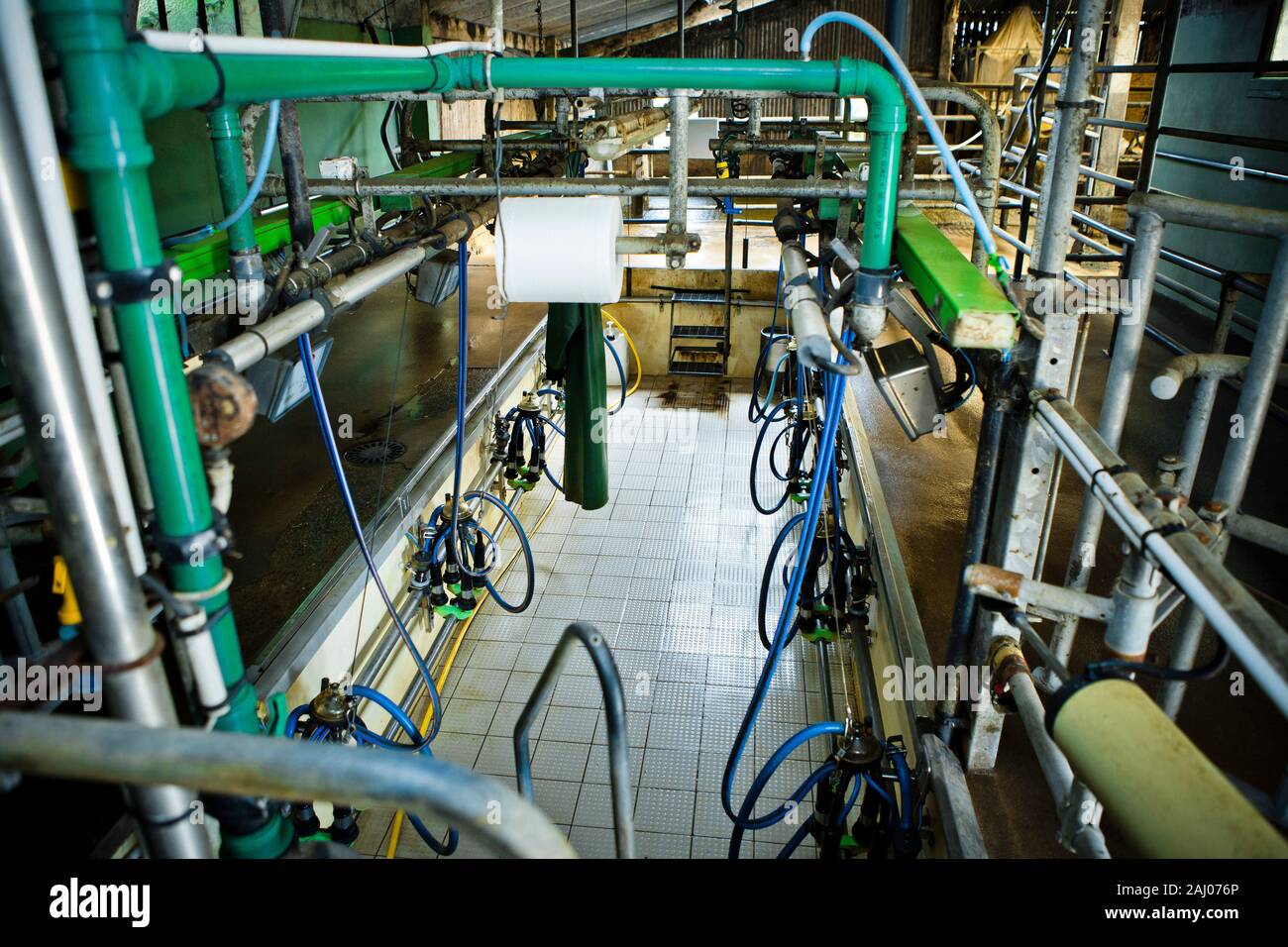 Cattle breeding: empty milking room in the dairy farm EARL Gibet in ...
